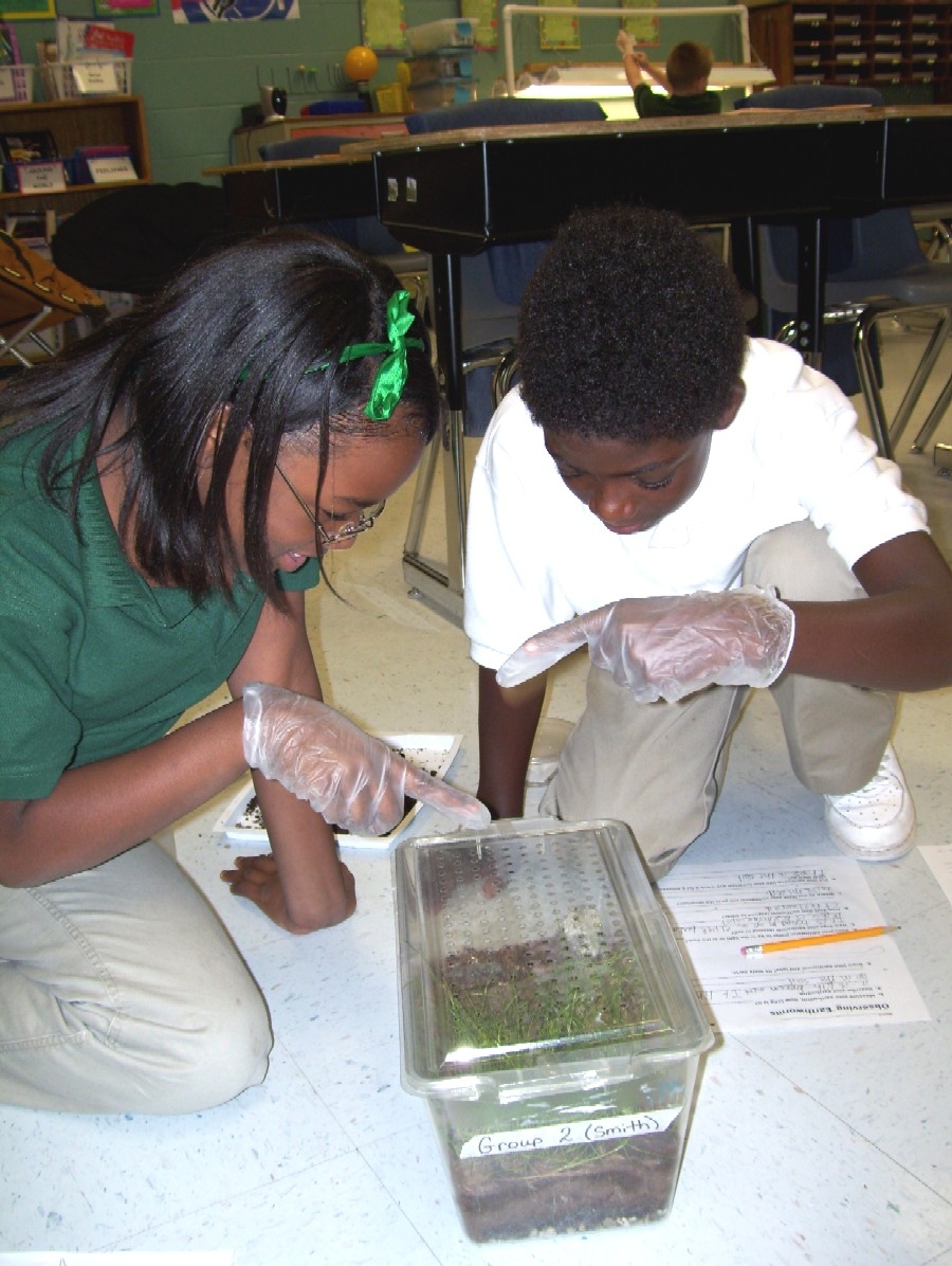 Food chain studies, earthworms at SRE