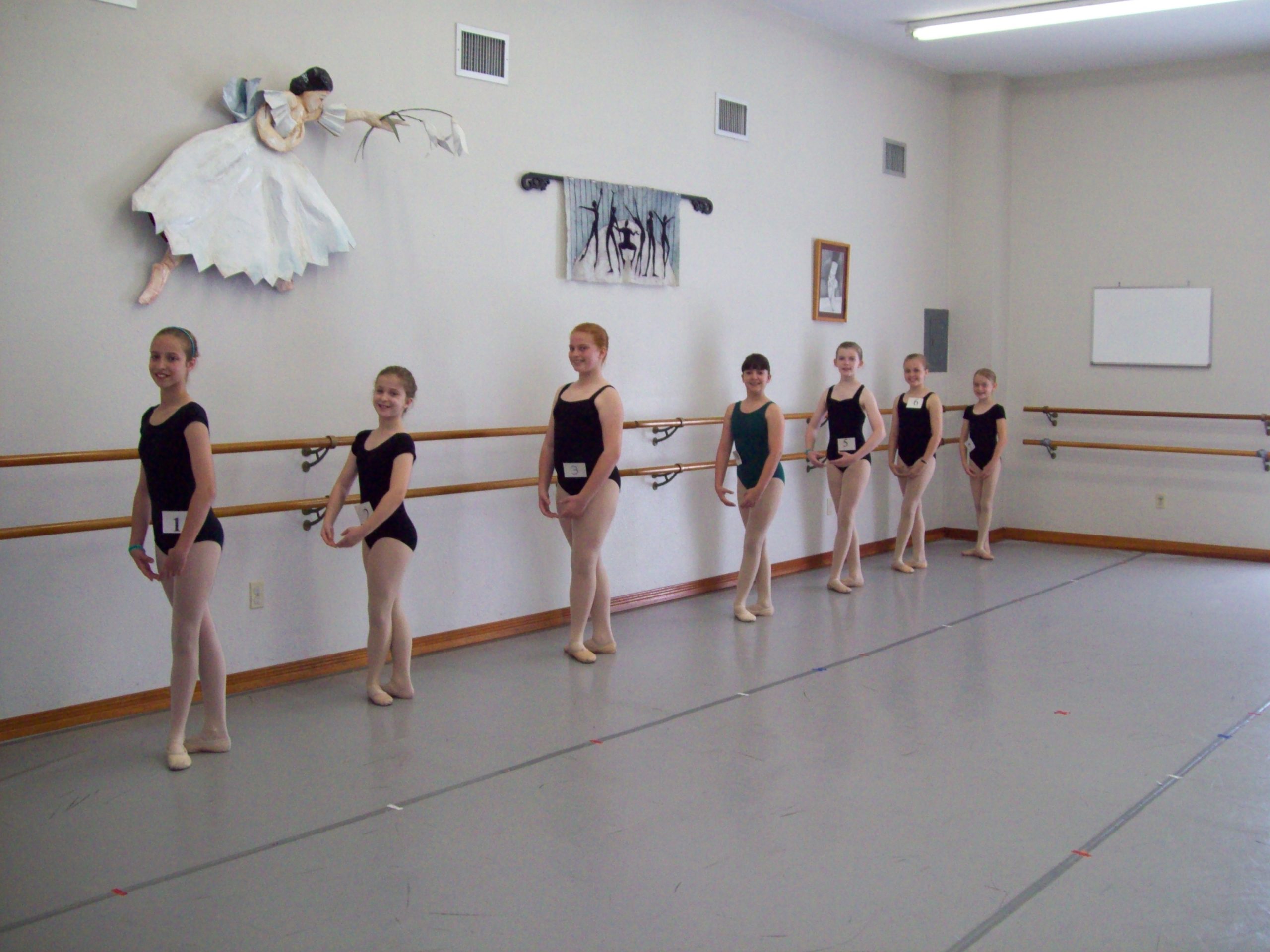 Ballet hopefuls line-up for audition