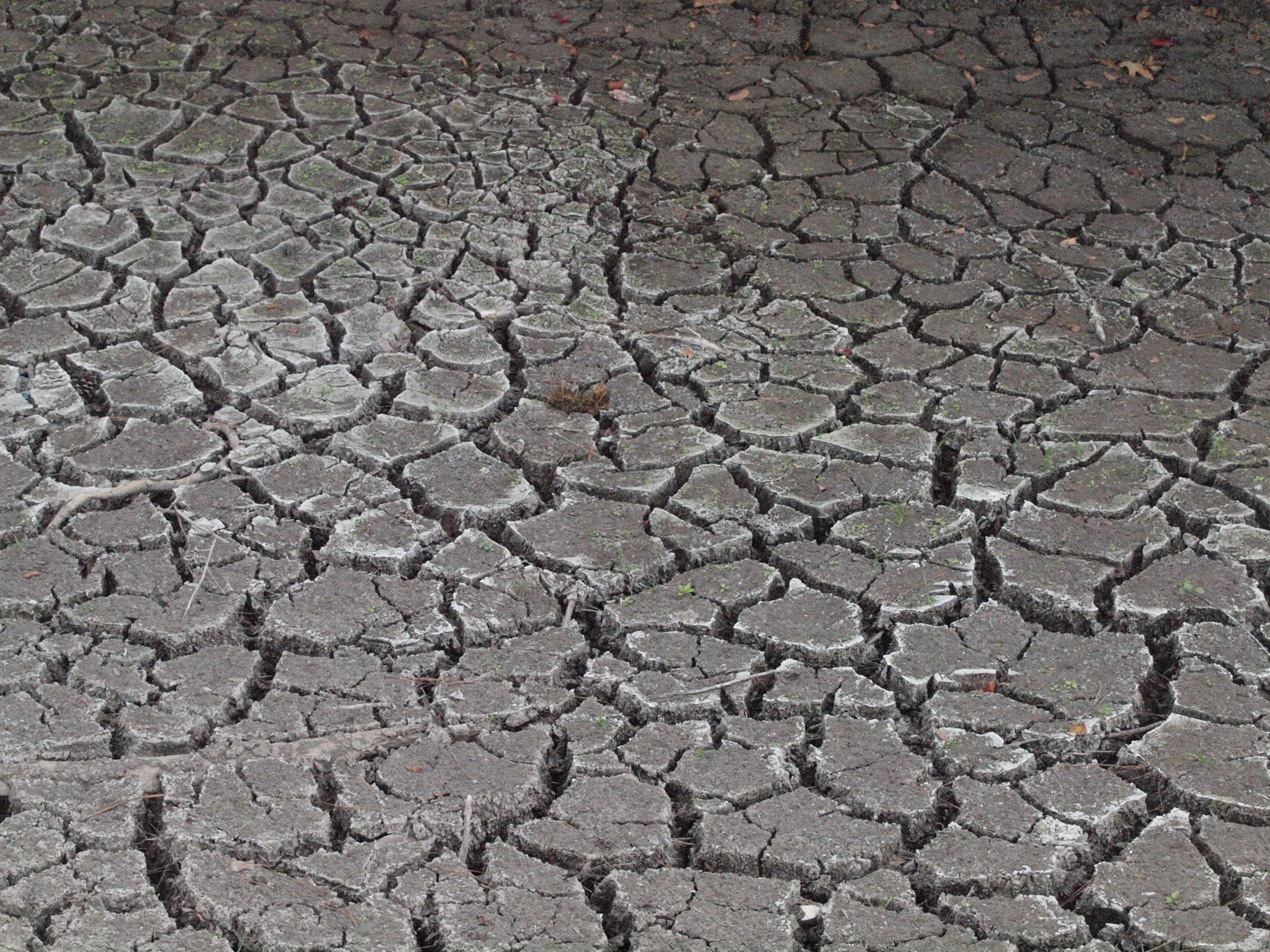 Weather severe drought with plant-protecting tips