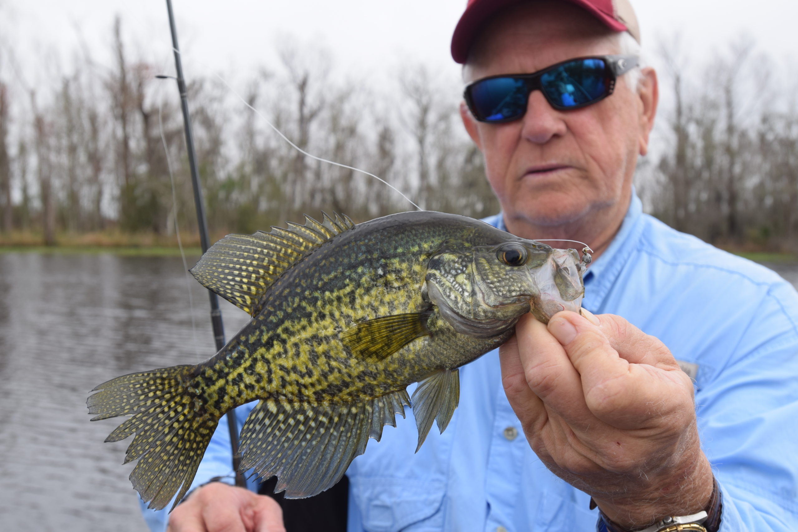 Sac-a-lait bite on in Des Allemands