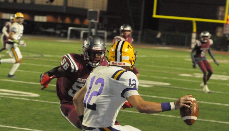 Destrehan football preview: Wildcats look to scale the mountain once ...