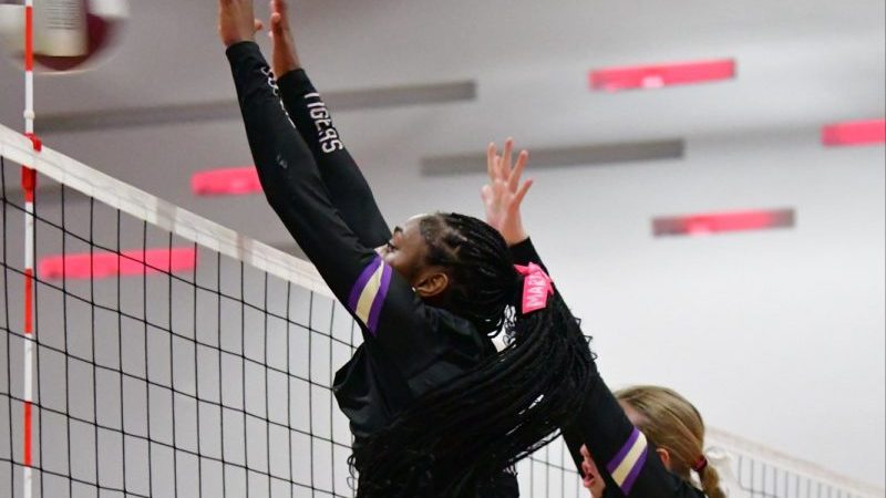 Lady Tigers defeat Wildcats in rivalry week showdown